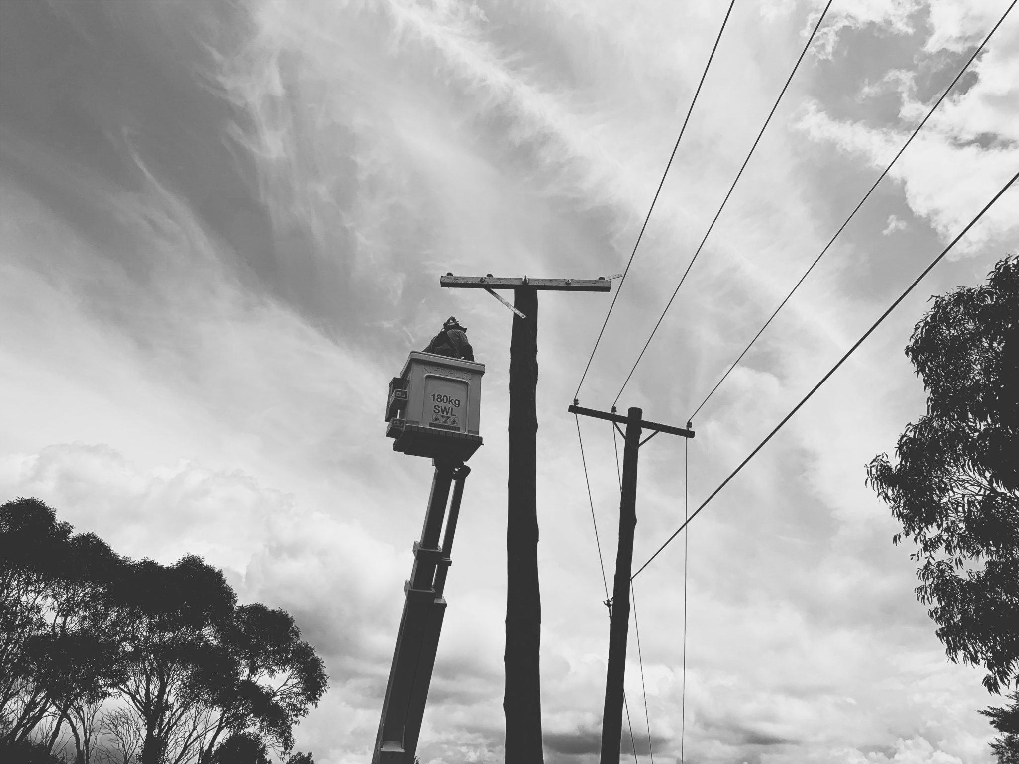 Timber Power Poles | OHMS Electrical Poles