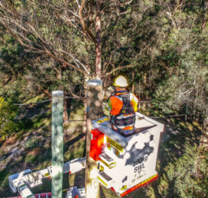 Electrical Overhead | Residential Overhead Service | OHMS Electrical Poles